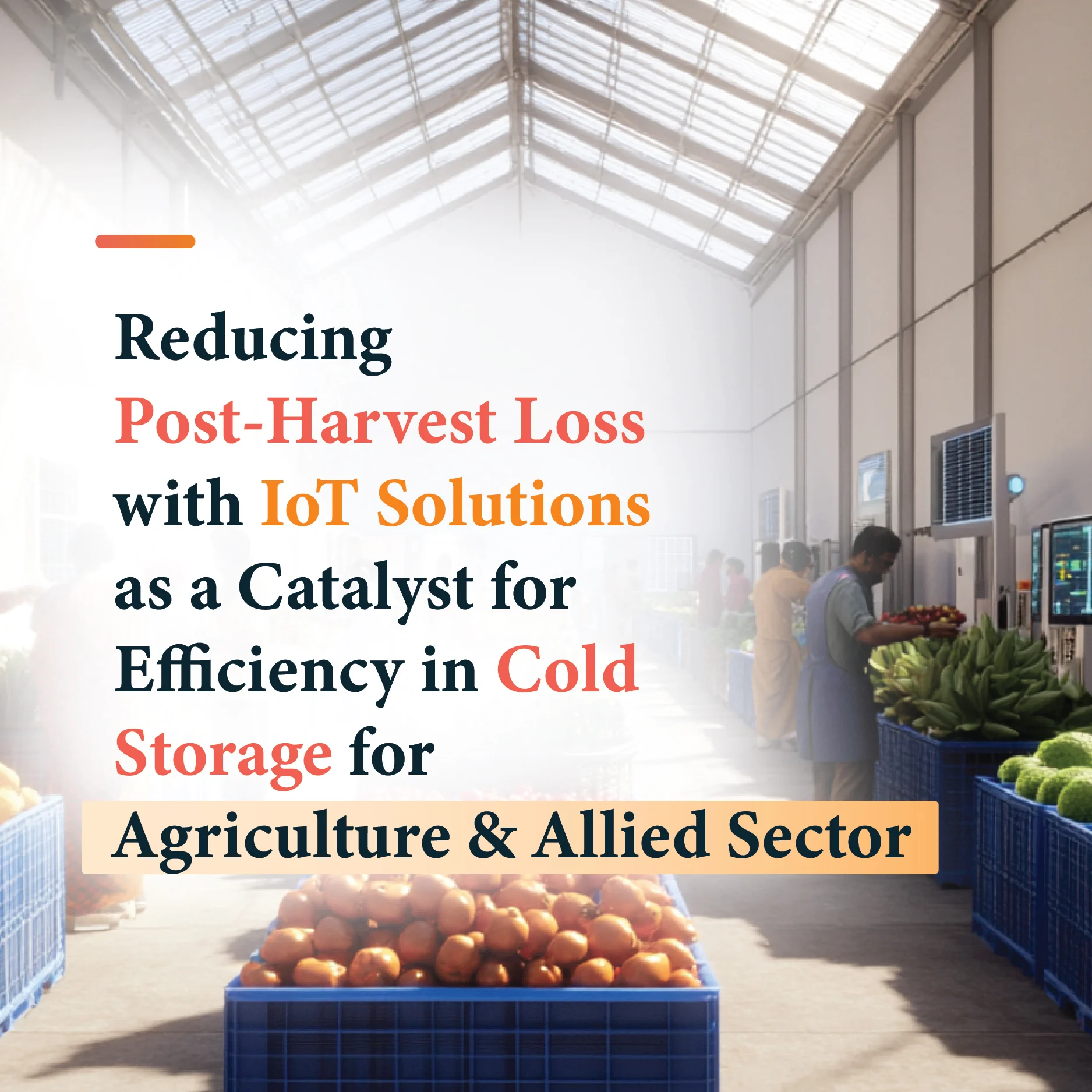 Reducing Post-Harvest Loss with IoT Solutions as a Catalyst for ...